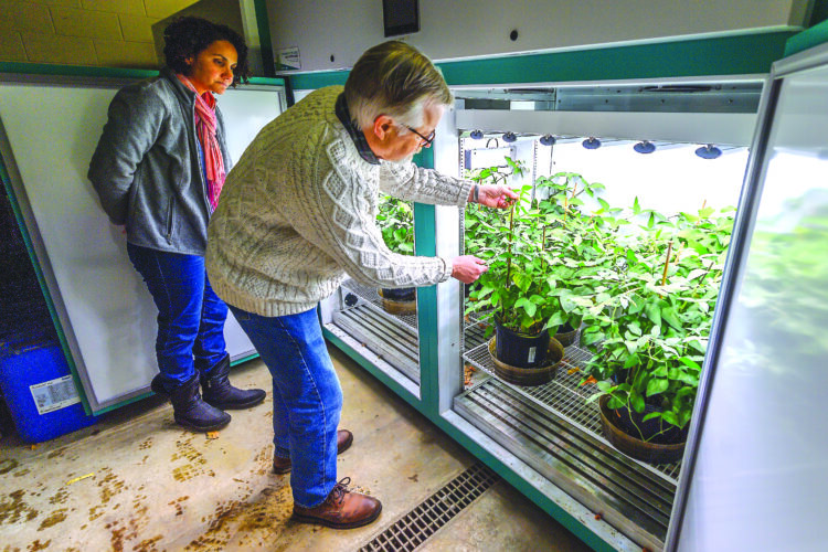 The USAID shutdown is upending livelihoods for nonprofit workers ...